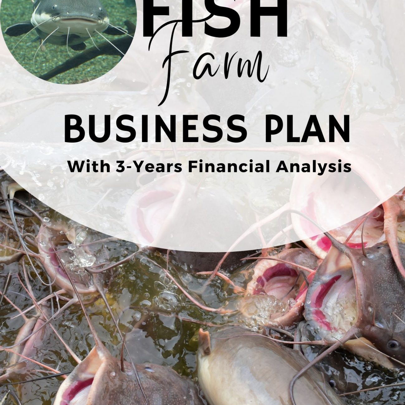 PIG FARM BUSINESS PLAN - FelixAbeShop