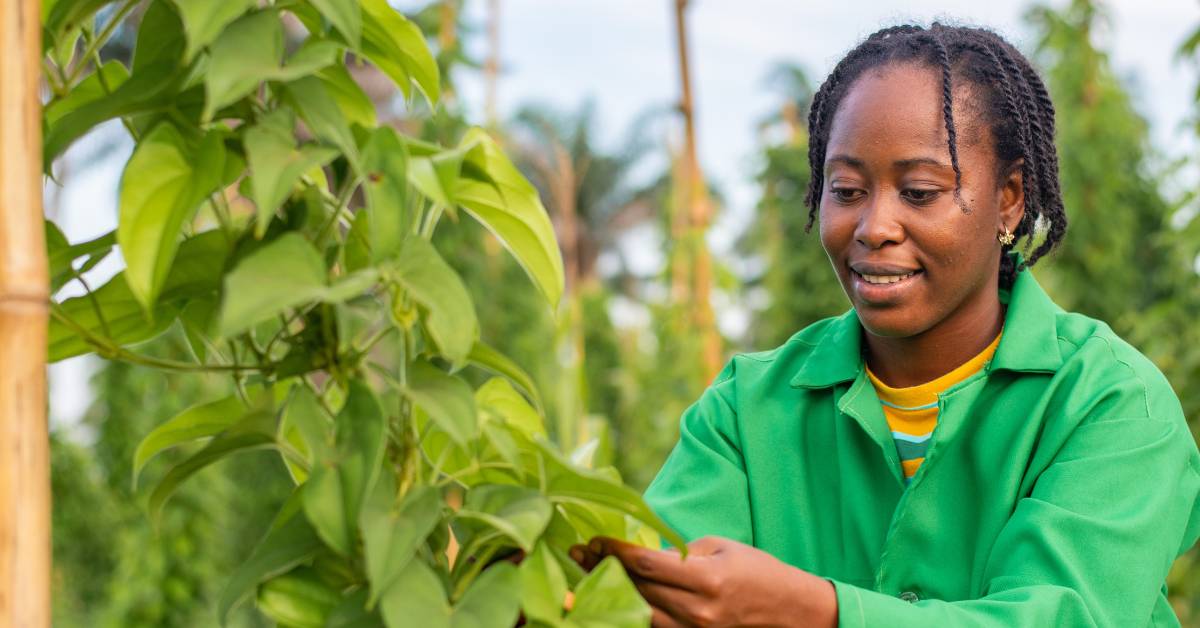 5 Sustainable Farming Techniques for Nigerian Farmers - FelixAbeShop
