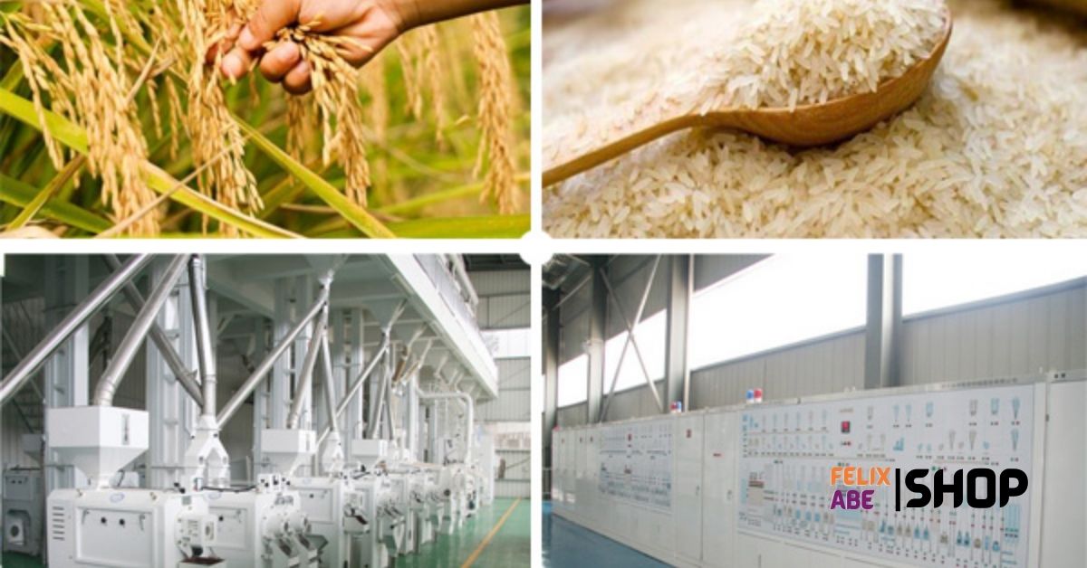 Business Idea for a Rice Hulling Plant in Nigeria and Africa - FelixAbeShop